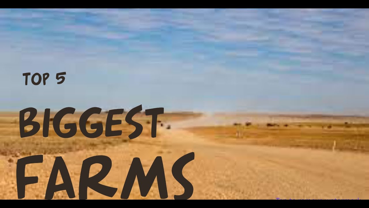 TOP 5 BIGGEST Farms in the World! - YouTube