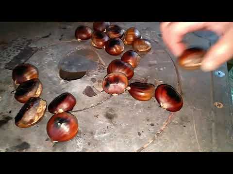 SOBADA KESTANE PİŞİRDİK