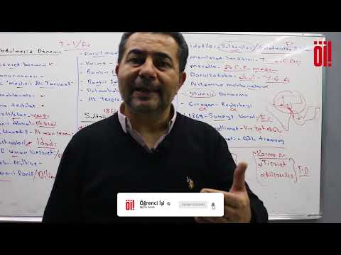 58. AYT TARİH 2023 -  XIX. Yüzyıl Yenileşmeleri 2. Bölüm - Selami YALÇIN