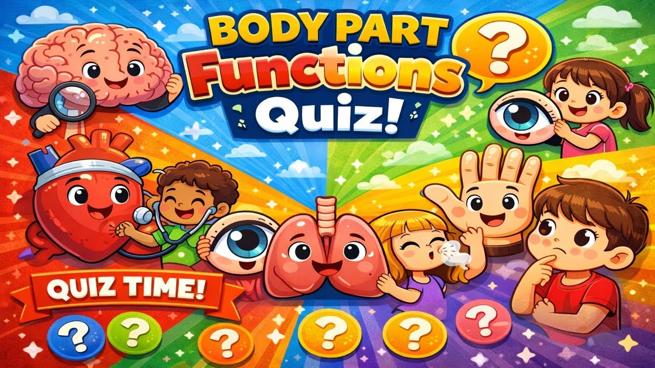 What Does Each Body Part Do? | Fun Body Parts Quiz for Kids - YouTube