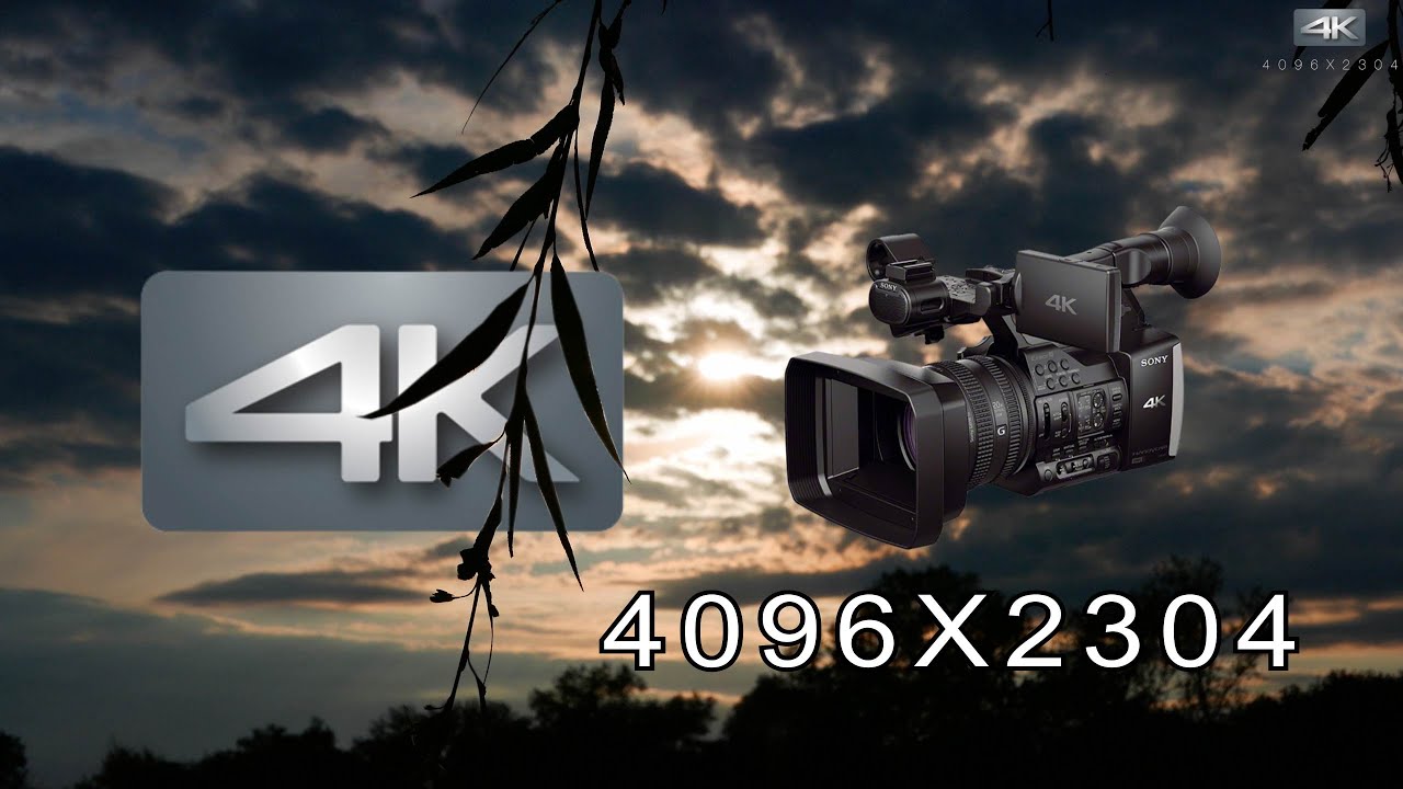 Footage 4K 4096X2304 - 4K Shoot - Video 4K détente - Nature - Cats ...