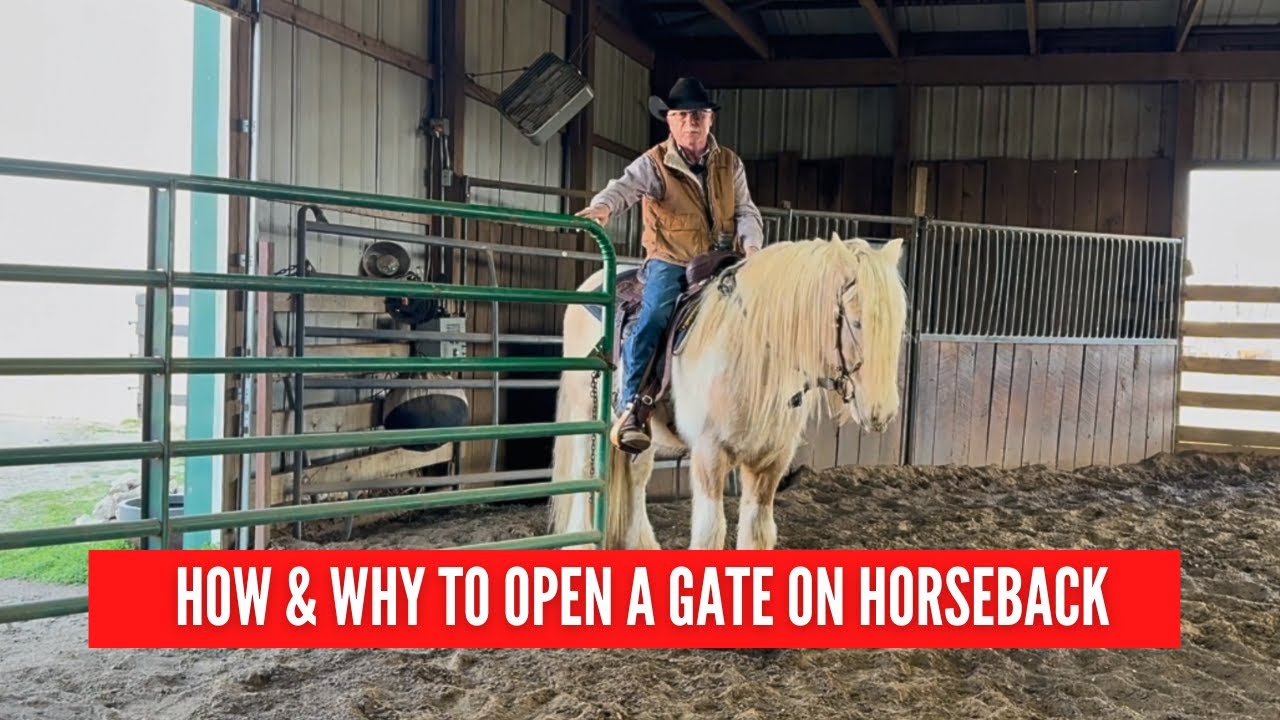 D/C How To Open a Gate on Horseback | Easy and Relaxed - YouTube
