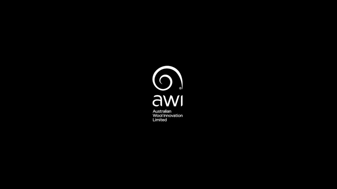 Ask the AWI Board Webinar - YouTube