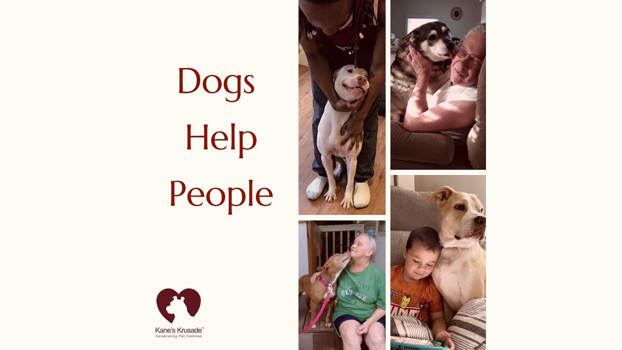 Dogs Help People - YouTube