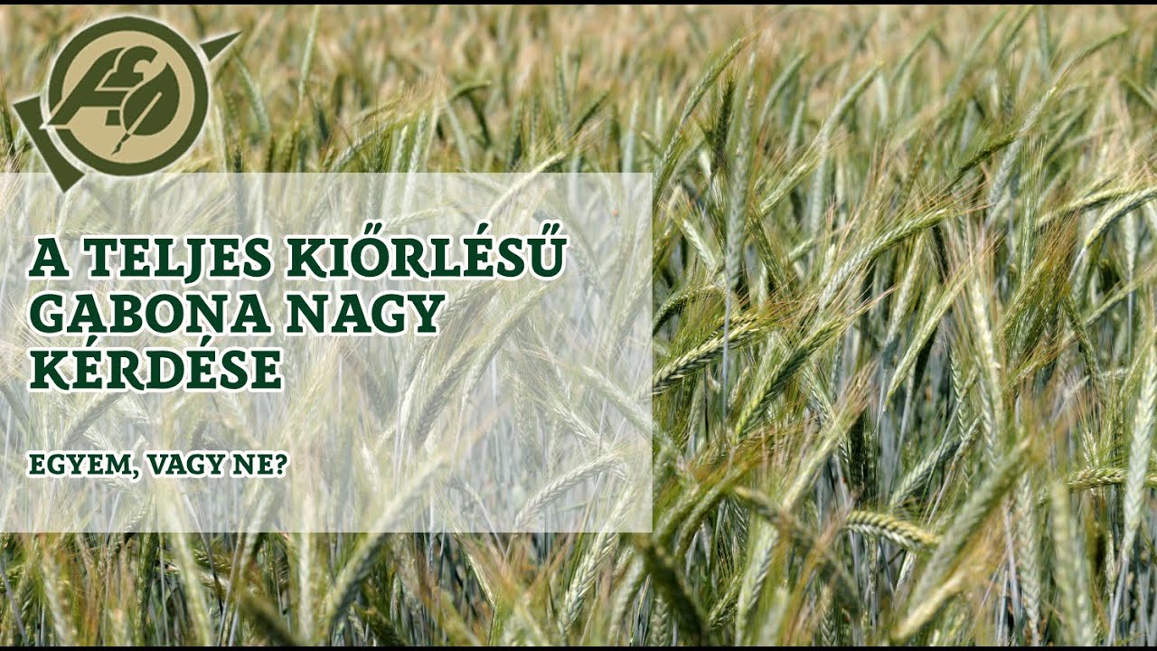 A teljes kiőrlésű gabona nagy kérdése - Egyem vagy ne? - YouTube