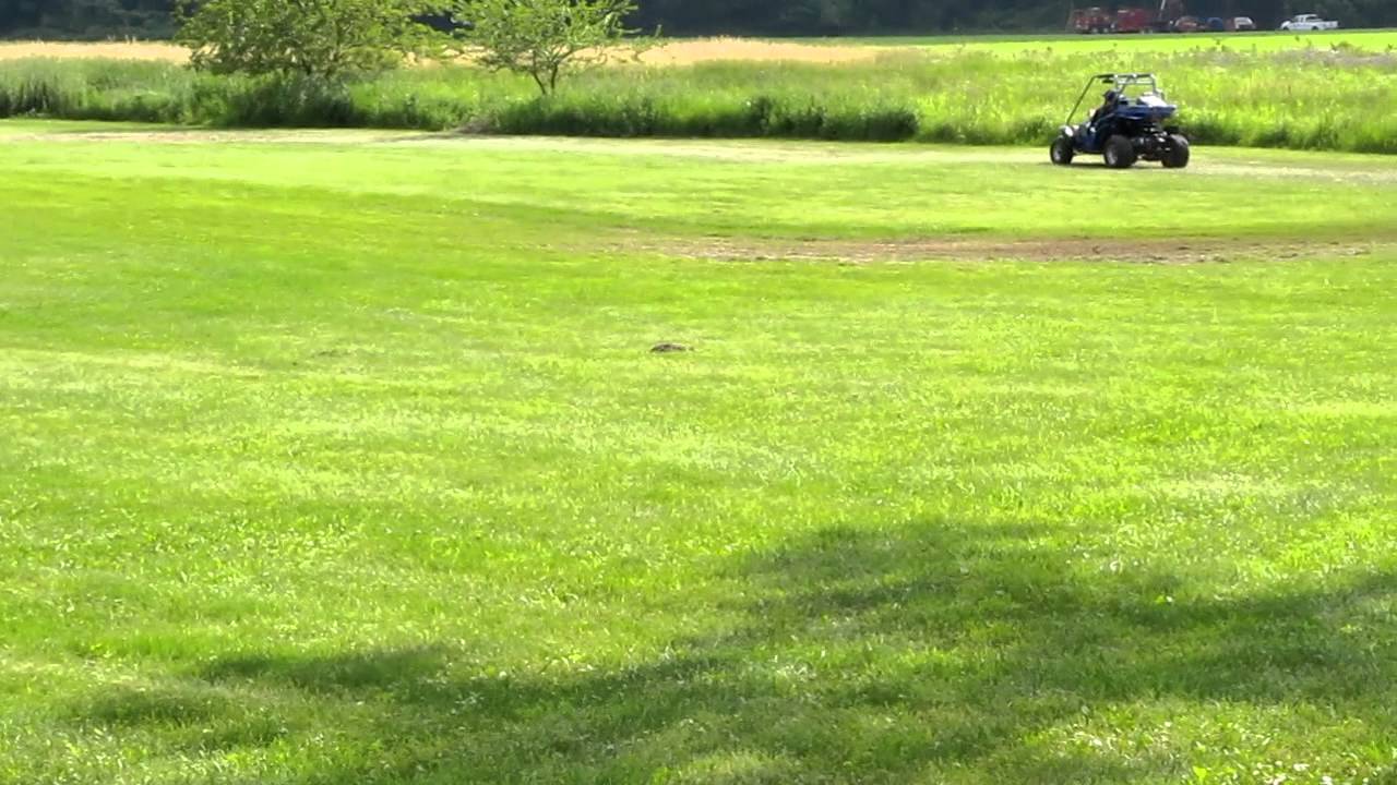 150cc Maxxam Go Kart Dirt flying - YouTube