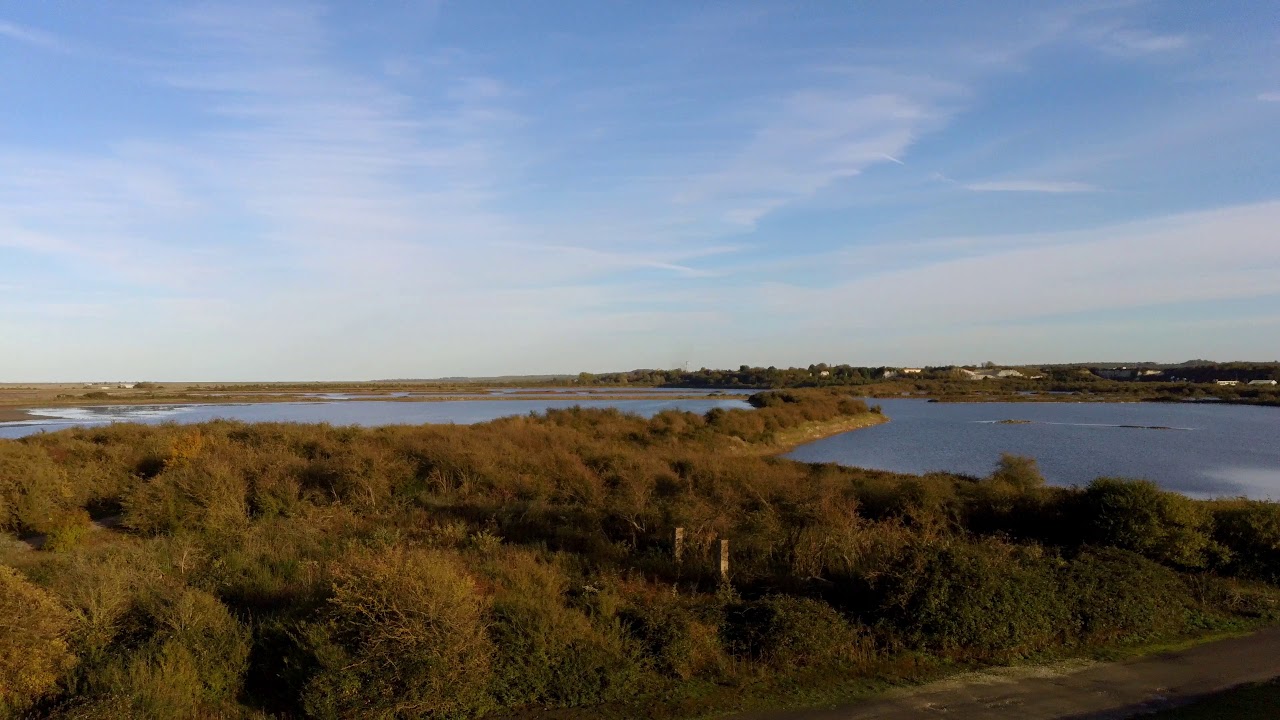 Cliffe Pools Nature Reserve - YouTube