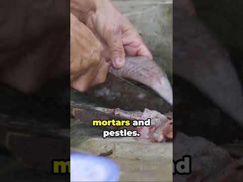 Caveman Cooking Showdown: Modern Chefs, Primitive Tools - YouTube