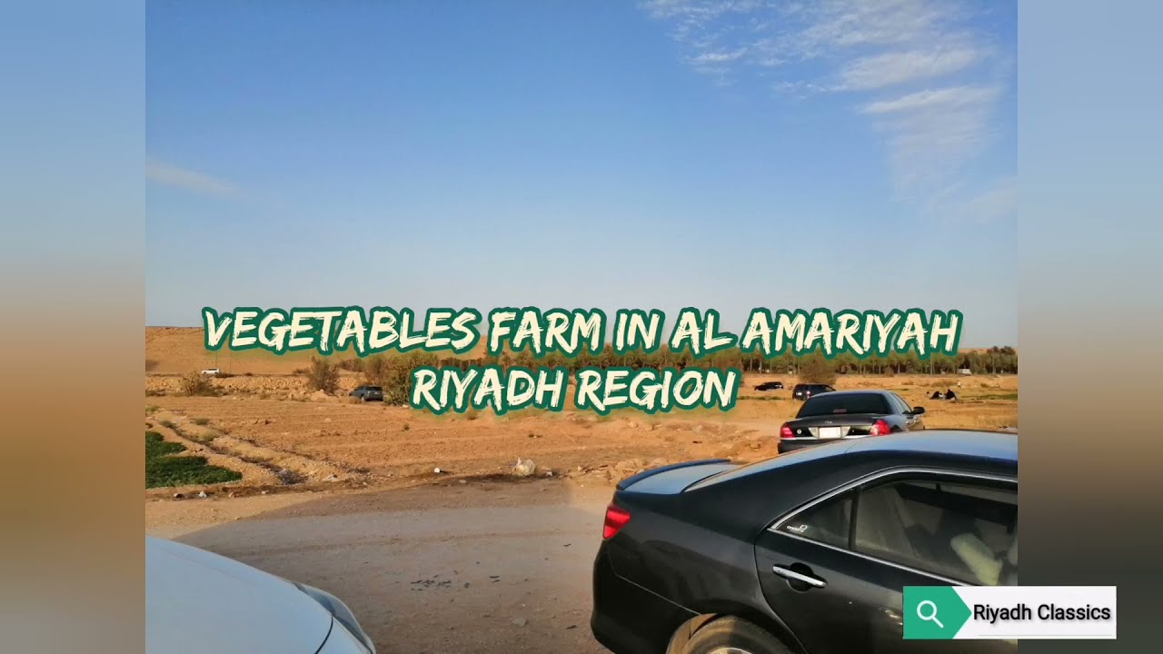 Al Amaaria Vegetable Farm | Green Riyadh | Riyadh Destinations - YouTube