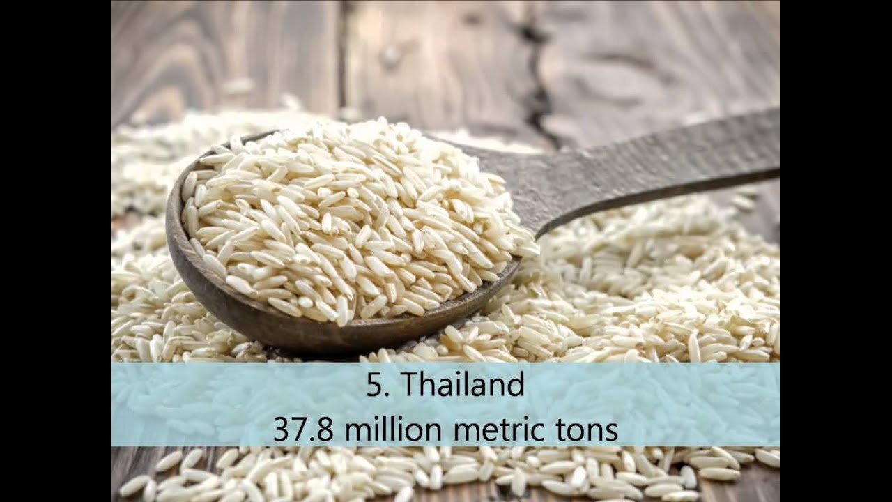 Top 10 rice producing countries - YouTube