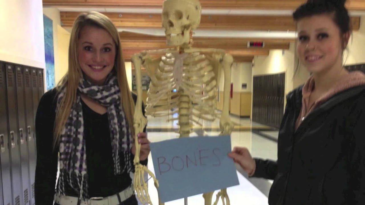 Skeletal System Song - YouTube