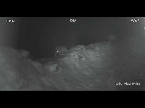 İlisu Milli Parkı