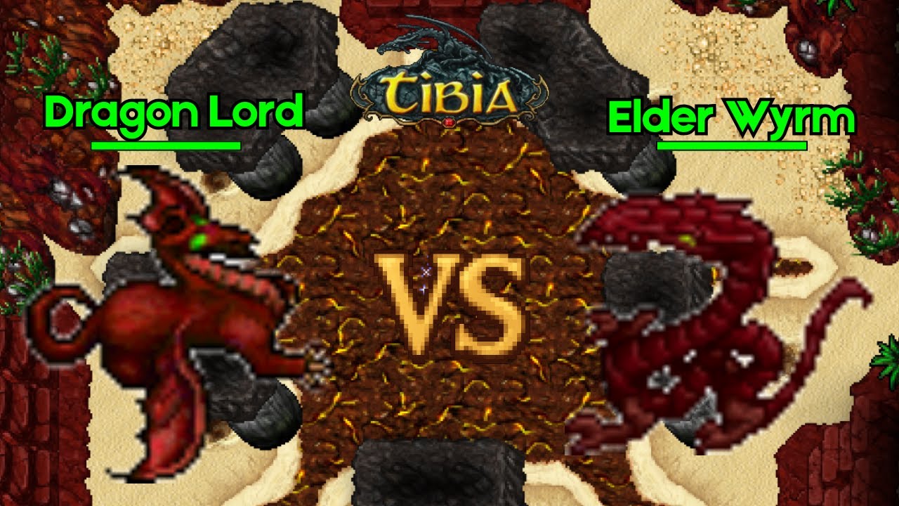 Dragon Lord vs Elder Wyrm 🔥 ¿Quién ganará? | Tibia Versus - YouTube