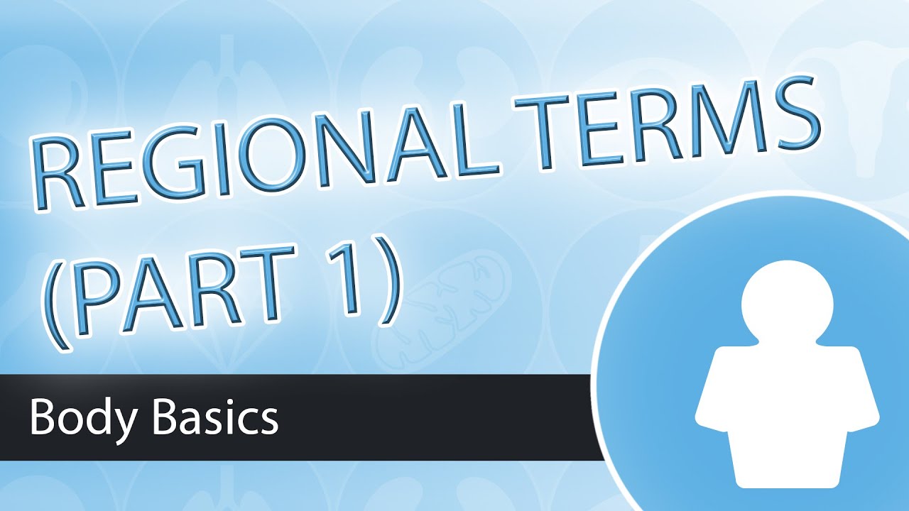 Regional Terms - YouTube