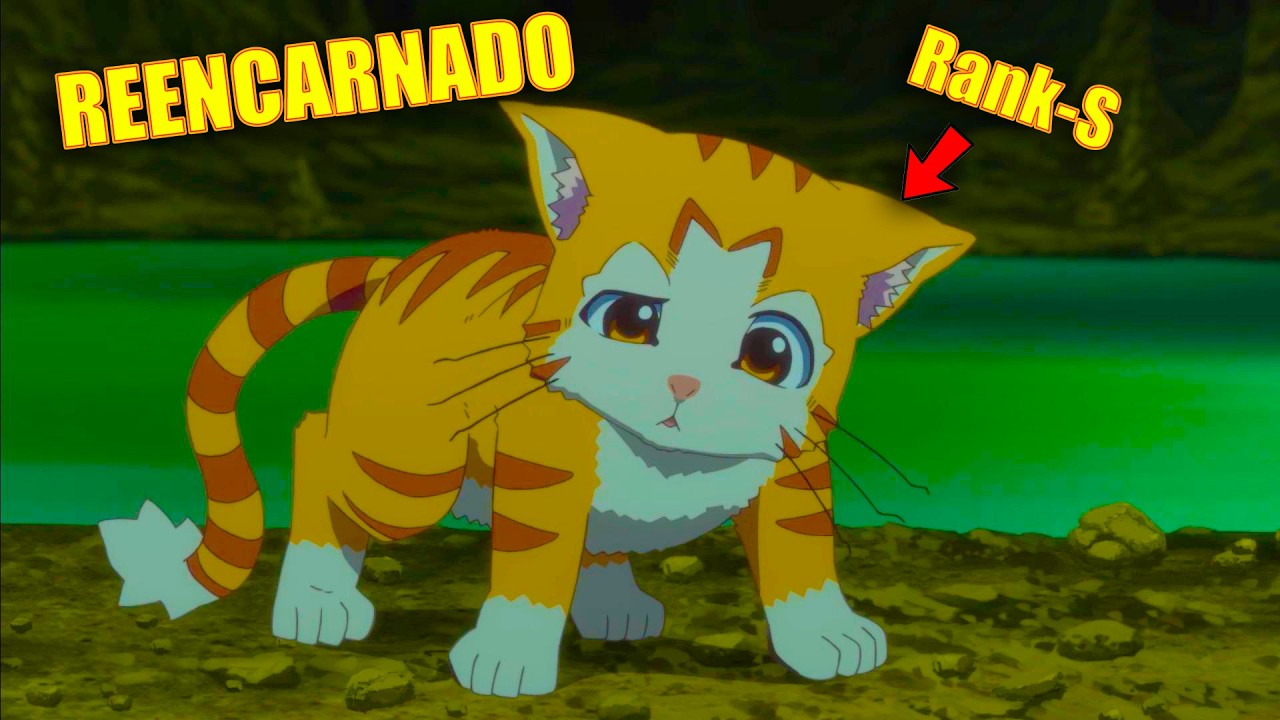 💥Caballero Mv3RE y Reencarna como Un Gato Rango S para Proteger a Su Elfa💥Resumen - YouTube