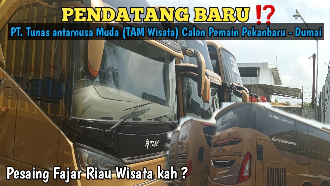 BUS TAM WISATA PEMAIN BARU ️ ️ Calon Pemain Pekanbaru - Dumai , Saingan ...