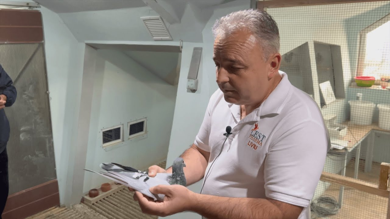 Interviu cu Liviu Plăvițu - YouTube