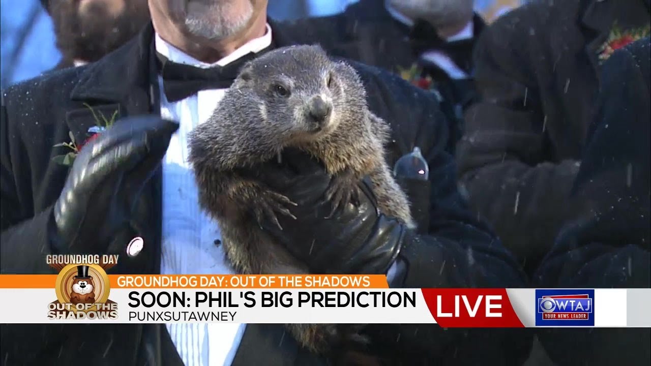 Punxsutawney Phil predicts early spring - YouTube