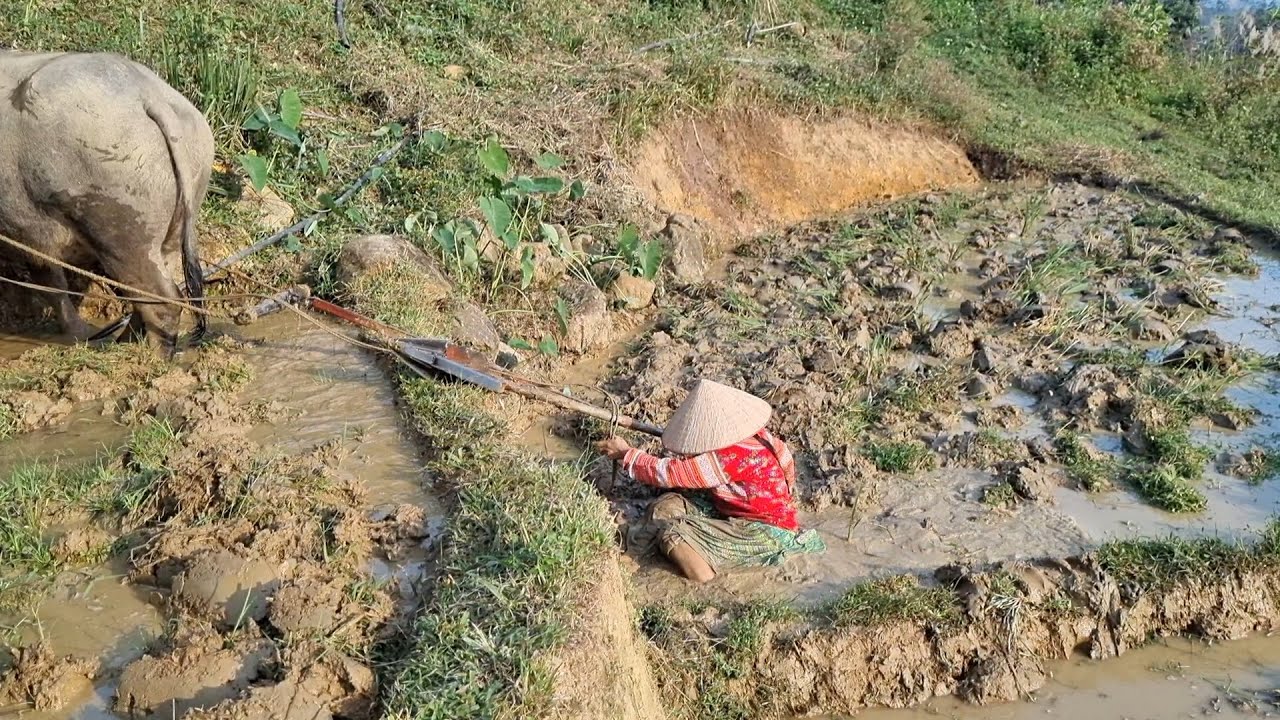 Weeding field edges and plowing fields. - YouTube