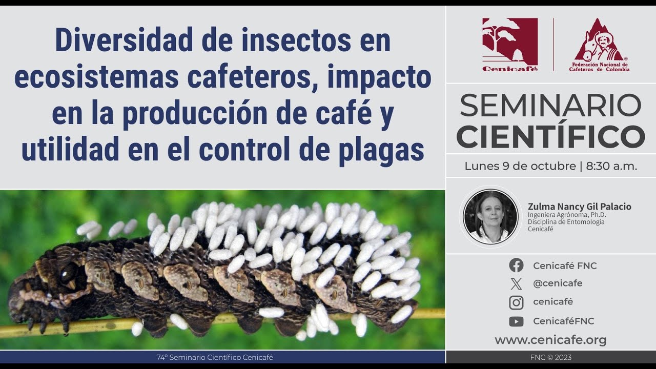 Diversidad de insectos en ecosistemas cafeteros impacto en la ...