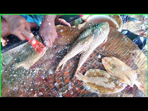 உடுபதி மீன் | Udupathi Fish Cutting Skills Tasty Fish in Indian Market ...