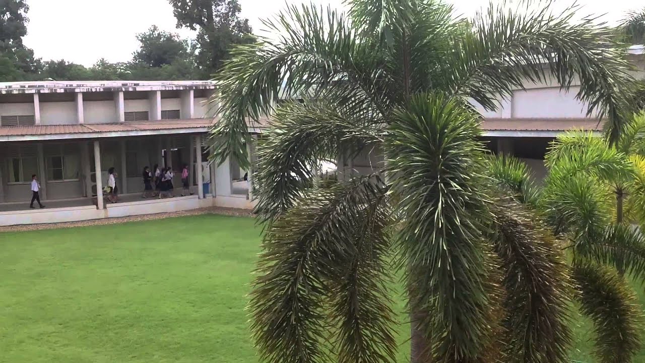 NATIONAL UNIVERSITY OF LAOS | FACULTY OF ECONOMIC AND BUSINESS ...