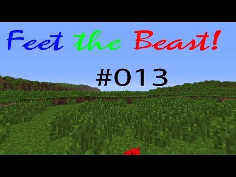 Lets Play Together Feet the Beast #013 (HD) (NICK)