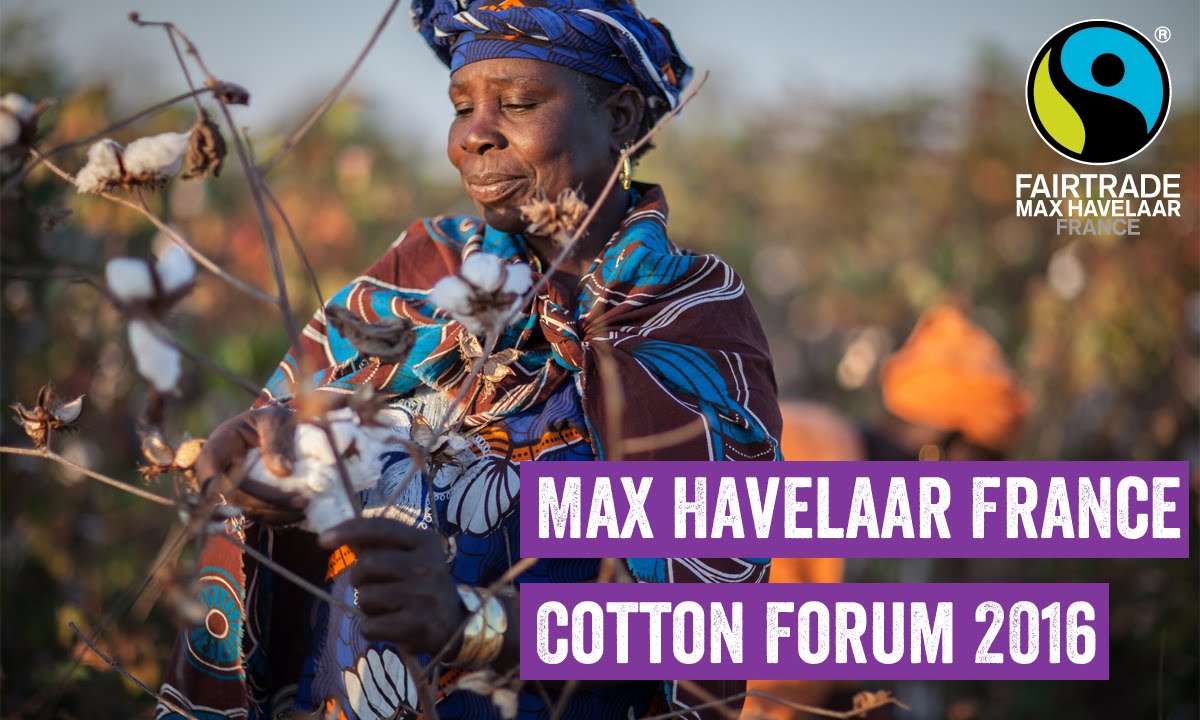 Max Havelaar France Cotton Forum 2016 (english version) - YouTube