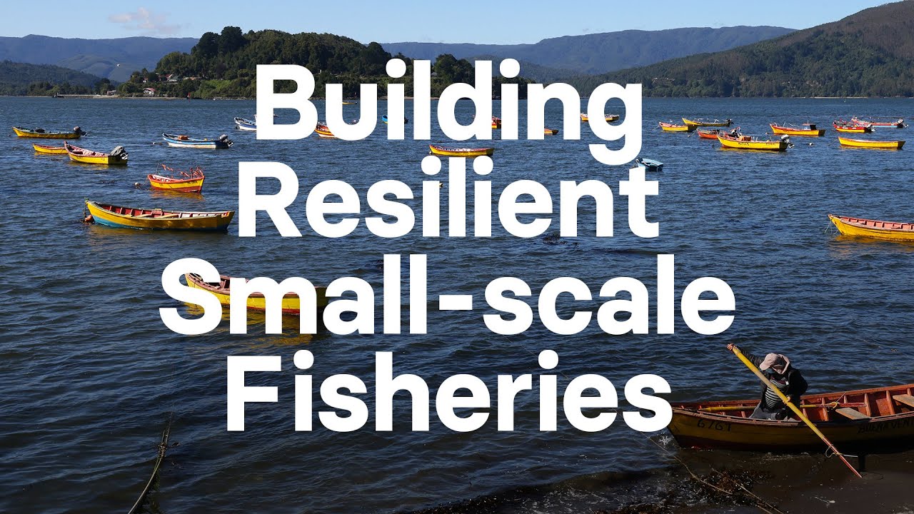 Building resilient small-scale fisheries - YouTube