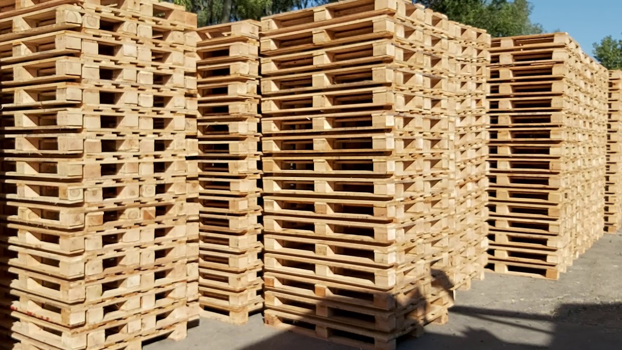Pallets Arlog Aserradero HyMP - YouTube