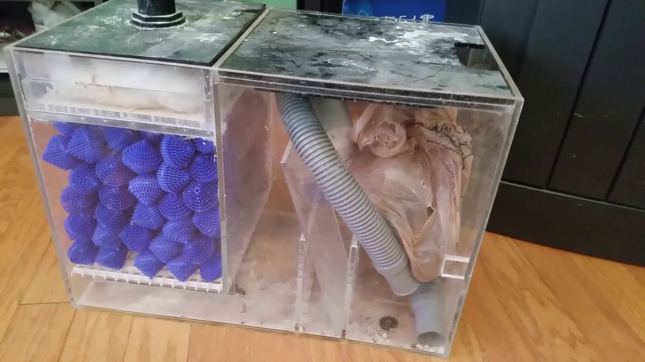 New Tank Build! Sump or Canister? Lighting? - YouTube