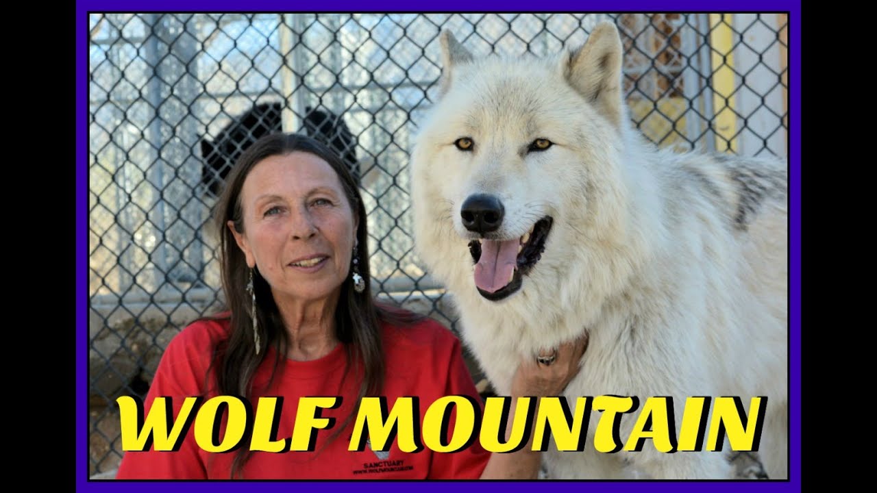 WOLF MOUNTAIN SANCTUARY - YouTube
