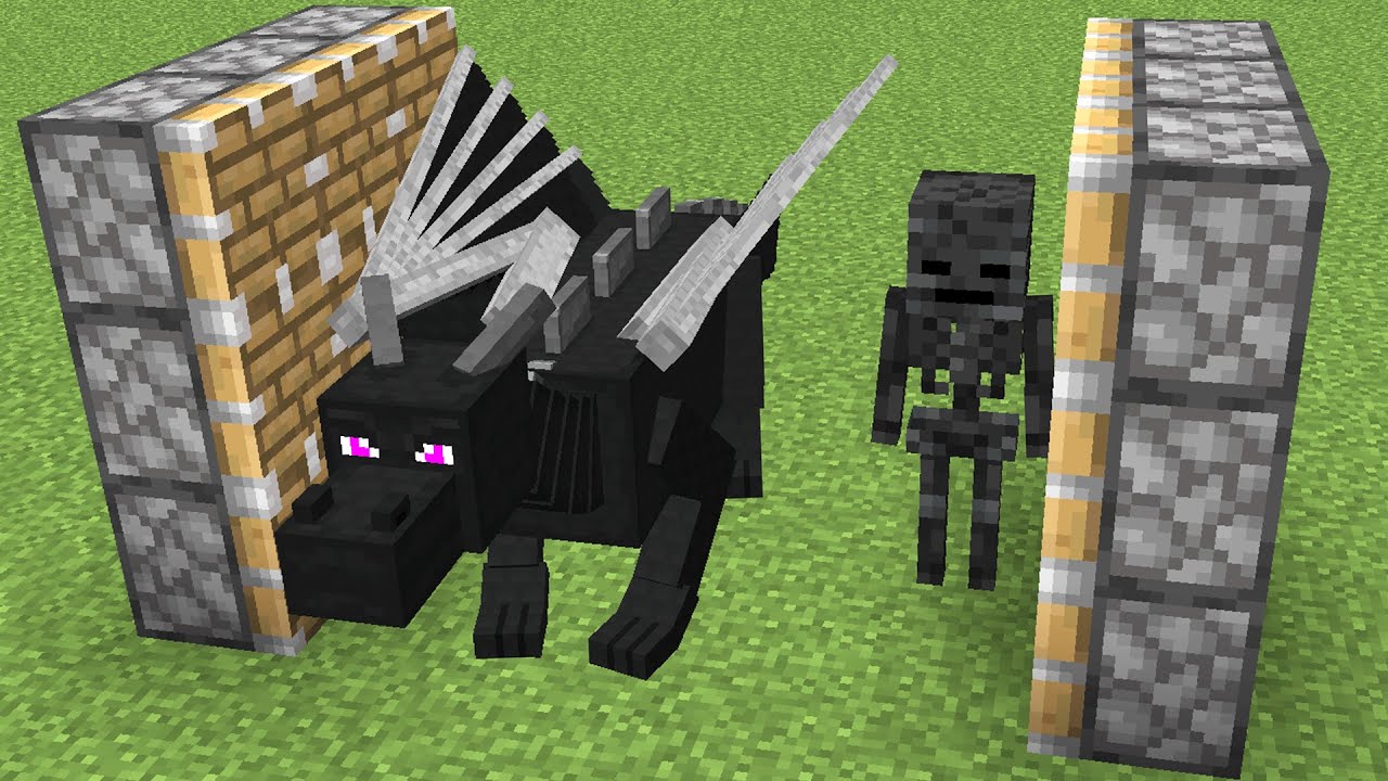 ender dragon + wither skeleton = ??? - YouTube