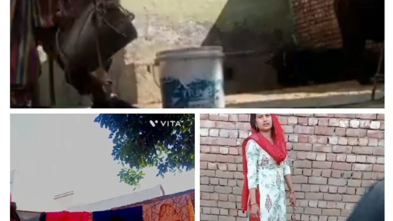 24 February 2023 - YouTube