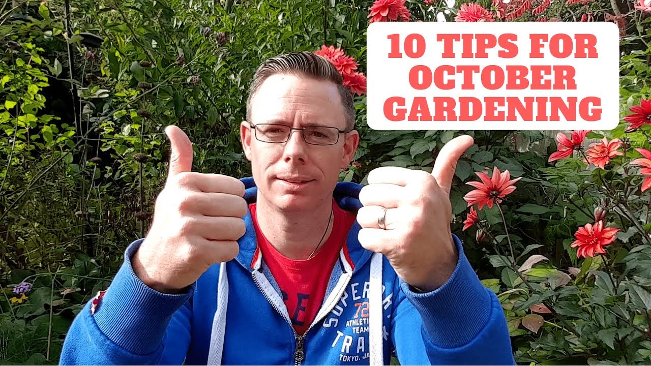 10 Top tips for October in the garden - YouTube