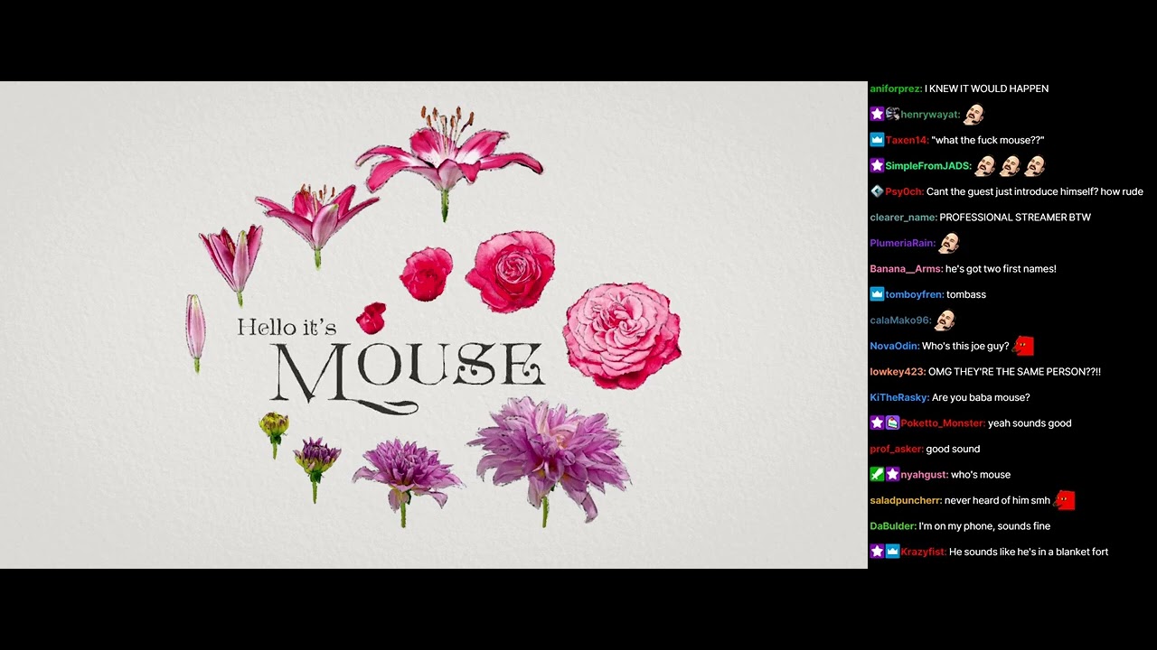 Joe and Mouse Split Fiction stream 1 with chat [03/21/2025] - YouTube