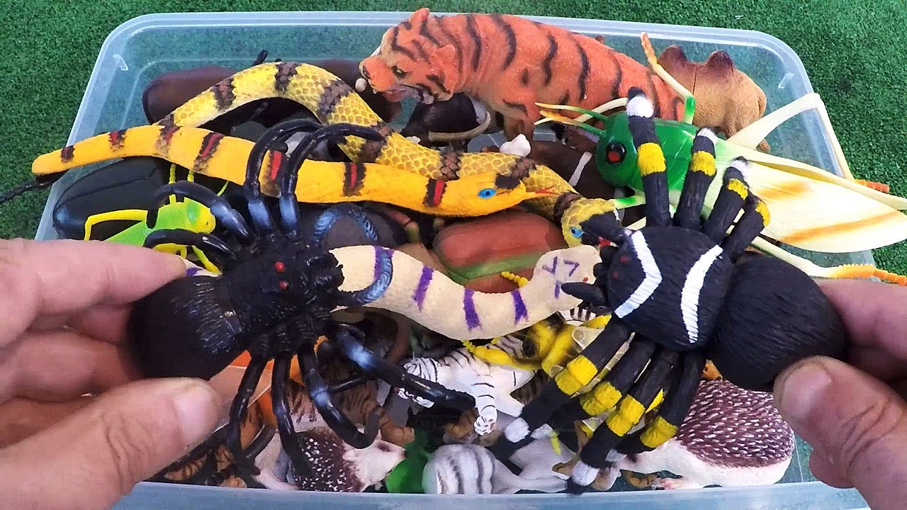 Learn Farm Animals and Wild Animals - Learn Insects Names and Sounds ...