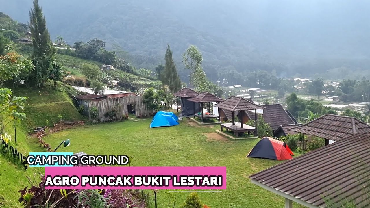 CAMPING GROUND AGRO PUNCAK BUKIT LESTARI BEDUGUL || TEMPAT CAMPING ...