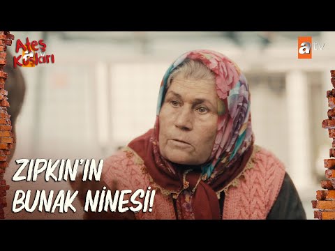 Zıpkın'ın bunak ninesi ile imtihanı! 😂 - Ateş Kuşları 29. Bölüm