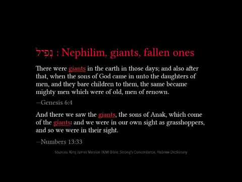 CIA Funded Snopes And Dan Evon Debunked: Japan Giant Real - YouTube