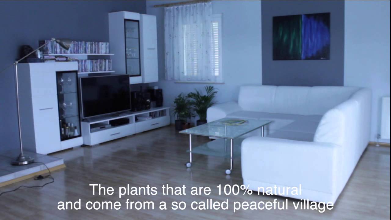 IKEA scene - Fight Club (EXAMEN 2015) SUB - YouTube