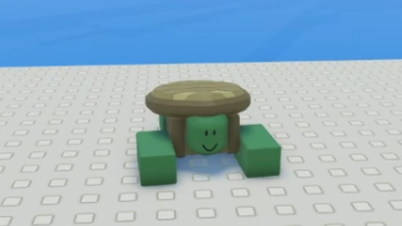 Find the Noobies Morphs - Where to Find the Sea Turtle Noobie Morph ...