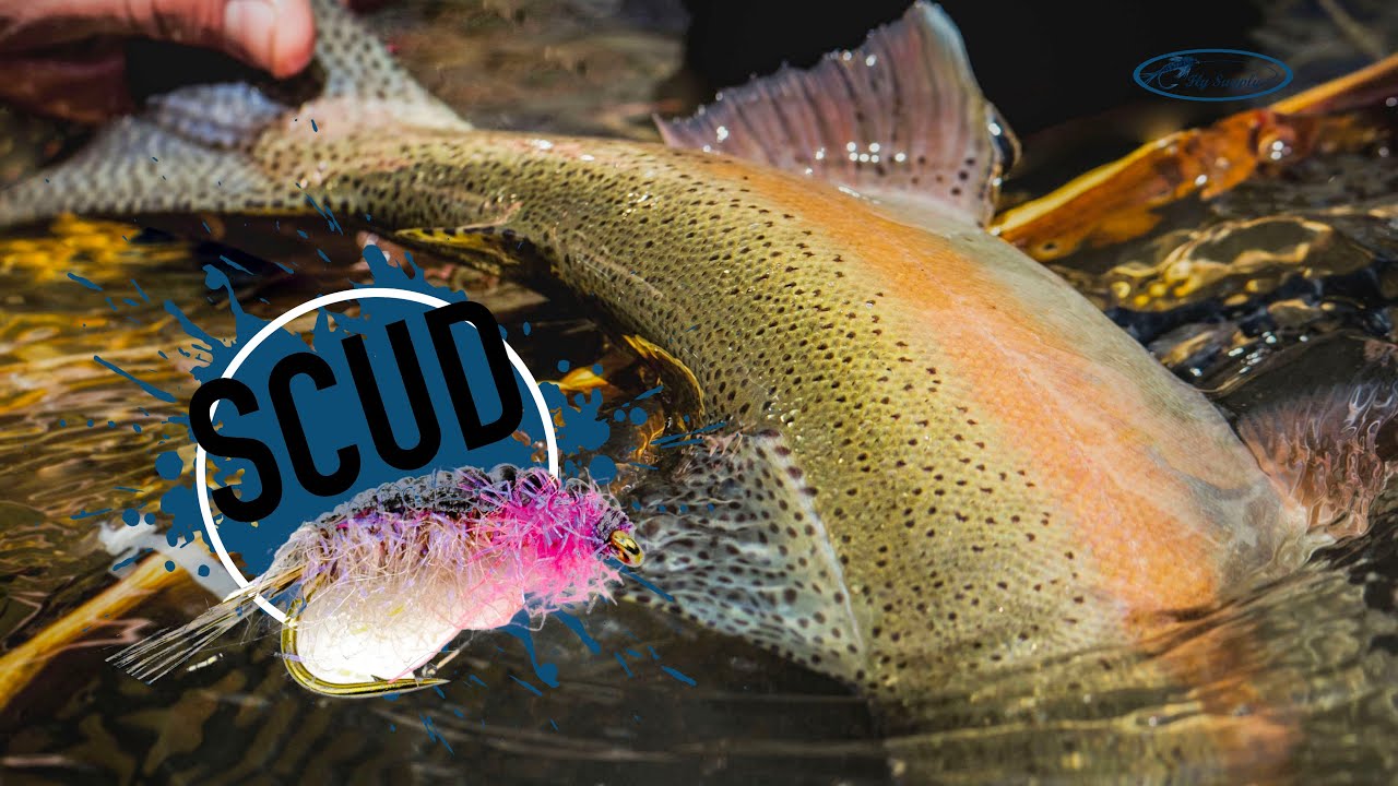 Fly Tying an Irresistible Scud - YouTube