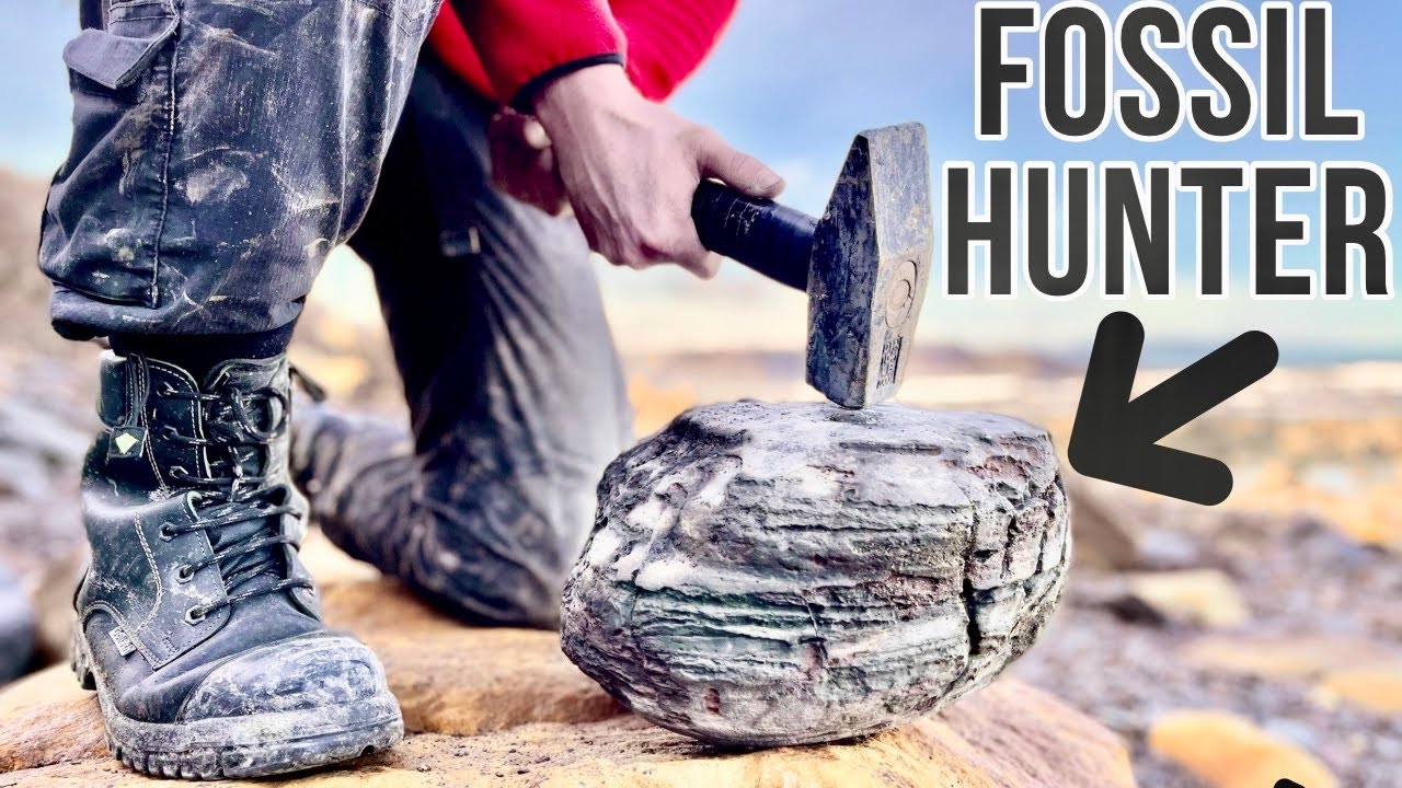 Experienced Fossil Hunter Cracks Open Huge Rocks! What Did He Find ...