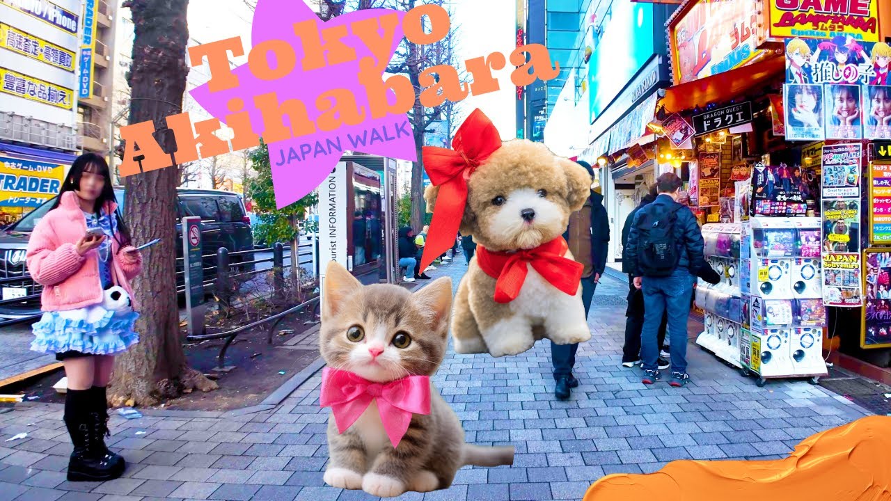 Tokyo Akihabara🐶🍻Anime/Cosplay/Maid Cafe Town♪💖4K relax/study Non-stop ...