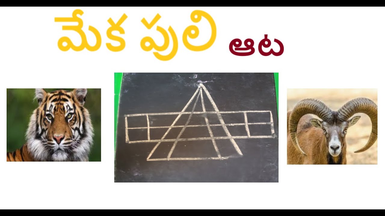 పులి మేక ఆట | Puli Meka Game - YouTube