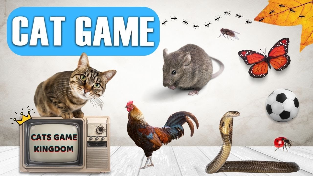 CAT GAMES - Catch Mice, Ants,Butterflies Videos For Cat To Watch - 3 ...