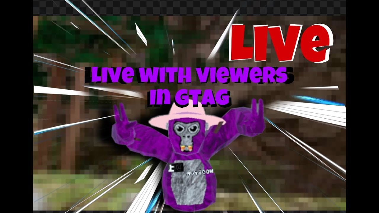 🔴gtag live with viewers!🔴 - YouTube