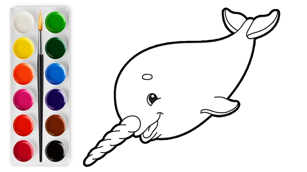 Draw and Color Cute Narwhals | Best Coloring Videos - YouTube