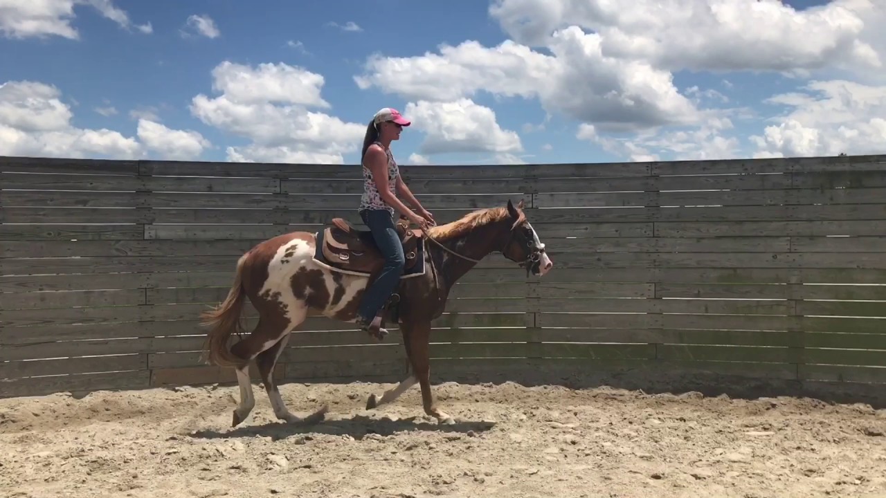 **SOLD** Midas Well Dream - YouTube